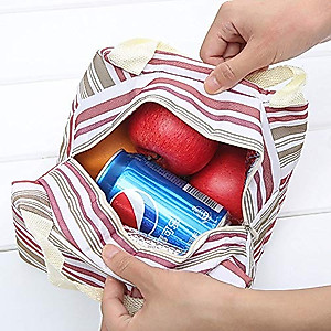 Lunch Bag Lunch Organizer for office Lunch Cooler with Zip Closure Foldable Lunch Tote Bag, Reusable Lunch Holder Insulated Lunch Container Picnic Bag for Men Women（Pink+Red）