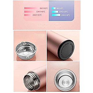 SuperSilk 17oz Anime Insulated Cup Cartoon Water Coffee Bottle, 500ml