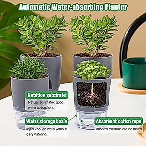 6 pcs Self Watering Plant Pots, 4.1/3.2 in Plastic Planter with Drainage Holes, Flower Pots for Indoor Plants, African Violet, Succulents, Herbs, Grey