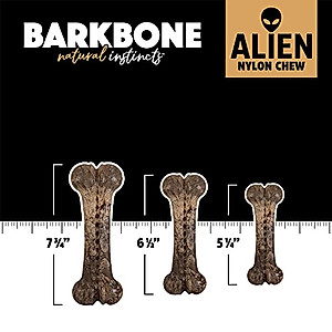Pet Qwerks Alien BarkBone - Nylon Dog Bone for Aggressive Chewers - Beef Stew Flavor - 7.75"