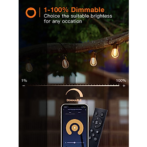 addlon 96FT Smart Outdoor String Lights with Remote, Dimmable Patio Lights with 30 LED Edison Waterproof Bulbs, String Lights for Outside Works with APP, Music Sync Outdoor Lights for Gazebo Backyard
