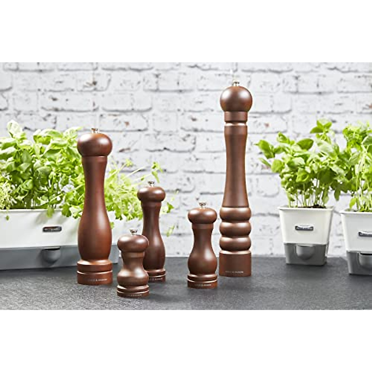 Cole & Mason Precision Grind Forest Capstan Pepper Mill, Stained Beech Wood/Walnut, 31.5 cm