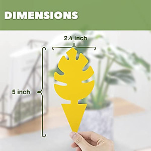 30 Pcs Yellow Sticky Trap for Indoor Gnats Dual Sided by Grow Margo - Fruit Fly Traps for Indoors - Plant Sticky Traps for Gnats - Plant Gnat Stix - Plant Fly Sticky Trap Sticks