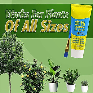 Anshka Plant Restoring Regrowth Sealant, Bonsai Tree Wound Paste, Tree Wound Bonsai Cut Paste, Smear Agent Pruning Compound Sealer with Brus (1pcs)