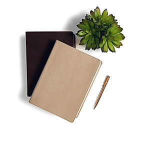 CSB She Reads Truth Bible, Champagne Gold LeatherTouch, Black Letter, Full-Color Design, Wide Margins, Journaling Space, Devotionals, Reading Plans, Single-Column, Easy-to-Read Bible Serif Type