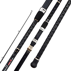 BERRYPRO Surf Spinning Rod Graphite Surf Fishing Rod (9'/10'/10'6''/11'/12'/13'3'') (10'-2pc)