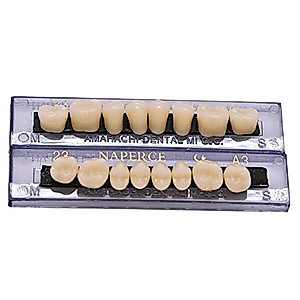 RZJZGZ 168 Pcs Dental Synthetic Resin Tooth Halloween Horror Teeth 6 Sets 23 A3