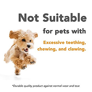 Friends Forever Memory Foam Orthopedic Dog Bed Lounge Sofa, Machine Washable Removable Cover, Premium Extra Soft Faux Suede Edition, Indoor Calming Couch Mattress With Bolster Rim , Khaki Beige Large