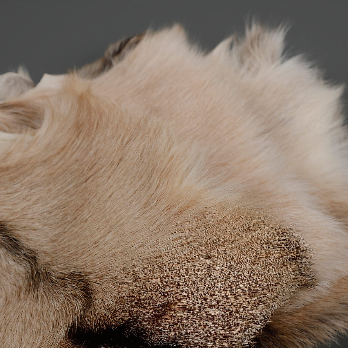 Natural Tanned Antelope Fur Pelts Real Goat Hides Sheepskin Leather Fur Rugs Handbag Scarf Clothing Accessories (Light Brown, Length: 15.7-26 in, Width: 11.8-21.6 in),1 pcs