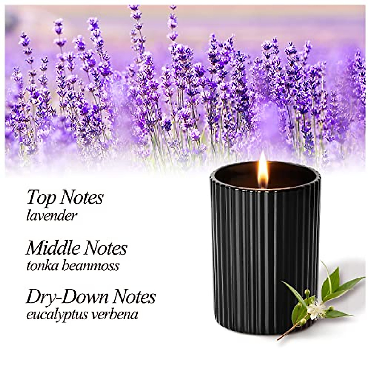 Lavender Candle for Home Scented: Vanilla Soy Candle Gift Set for Men Women 100% Natural Cotton Wicks 6.3 Oz 36 Hours Long Burning,Black Large Jars Eucalyptus Aromatherapy Candle Home Birthday Decor