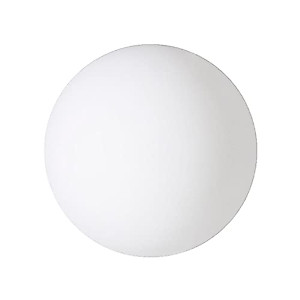 Light Ball LED Garden Swimming Pool Floating Light Light Landscape Aquarium Accessories Coloring Book Animals Children (White, One Size)