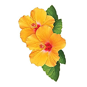 CHI CurlyCare - Curl Conditioner 12 fl oz- Gentle Formula Hydrates Curls, Reduces Frizz While Retaining Curl Shape and Curl Pattern