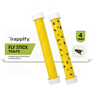 Trappify Hanging Fly Traps Outdoor: Fruit Fly Traps for Indoors | Gnat Trap | Gnat Traps for House Indoor | Fly Trap Indoor - Disposable Sticky Fly Trap for Indoor House Pest Control (4 Pack)
