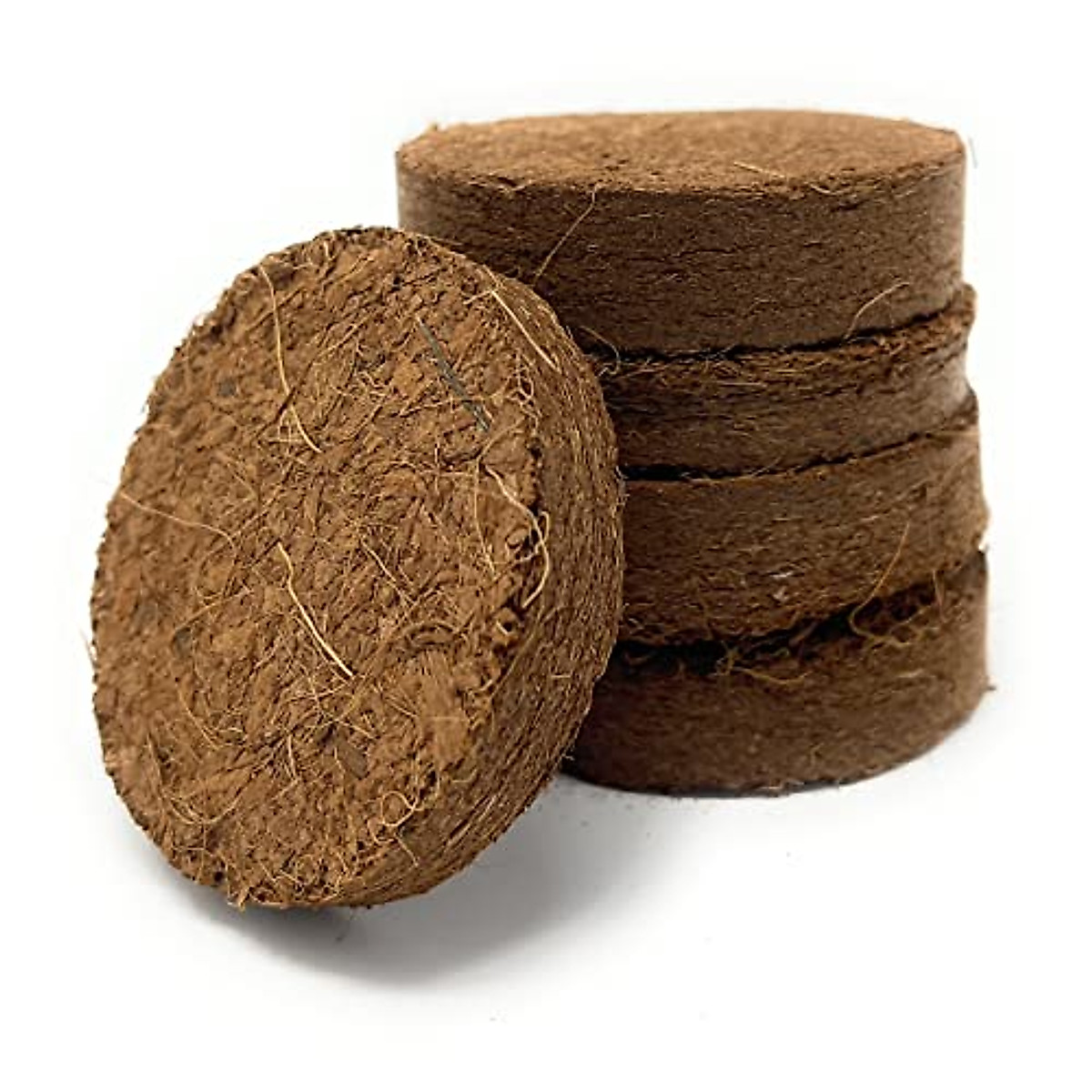 Heirloom Salad Greens Seed Starter Kit by EZ-gro | Our Indoor Vegetable Garden Kit Contains 5 Different Salad Seeds | Contains Everything an Indoor Vegetable Garden Kit Needs with Fertilizer