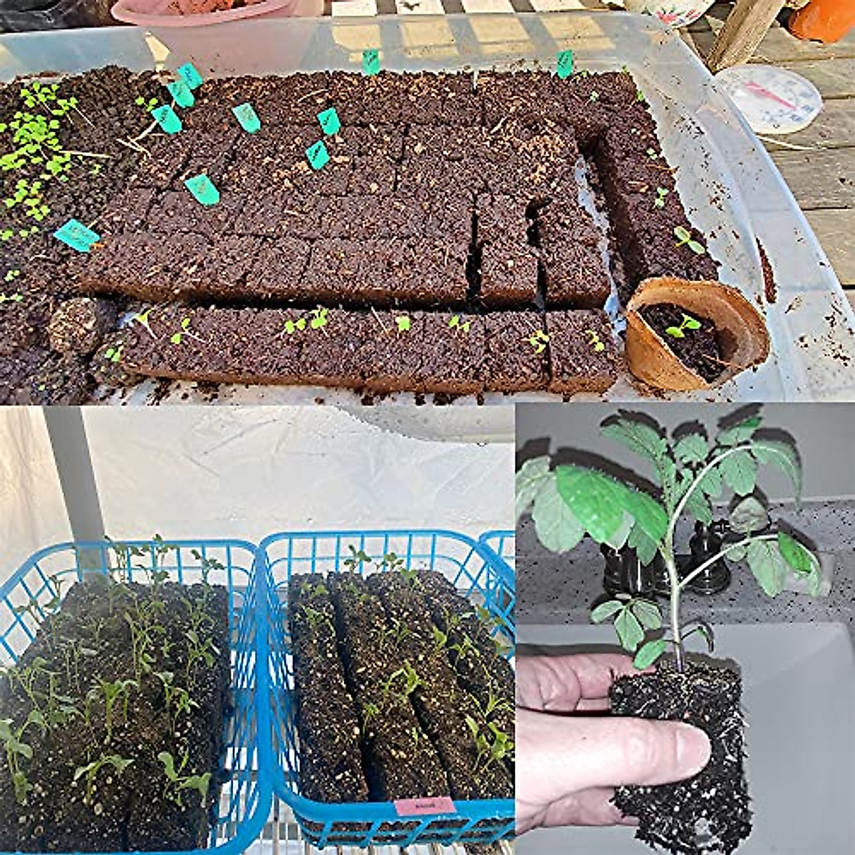 Manual Soil Block Maker Micro Soil Blocker Set (4 Soil Blocker)