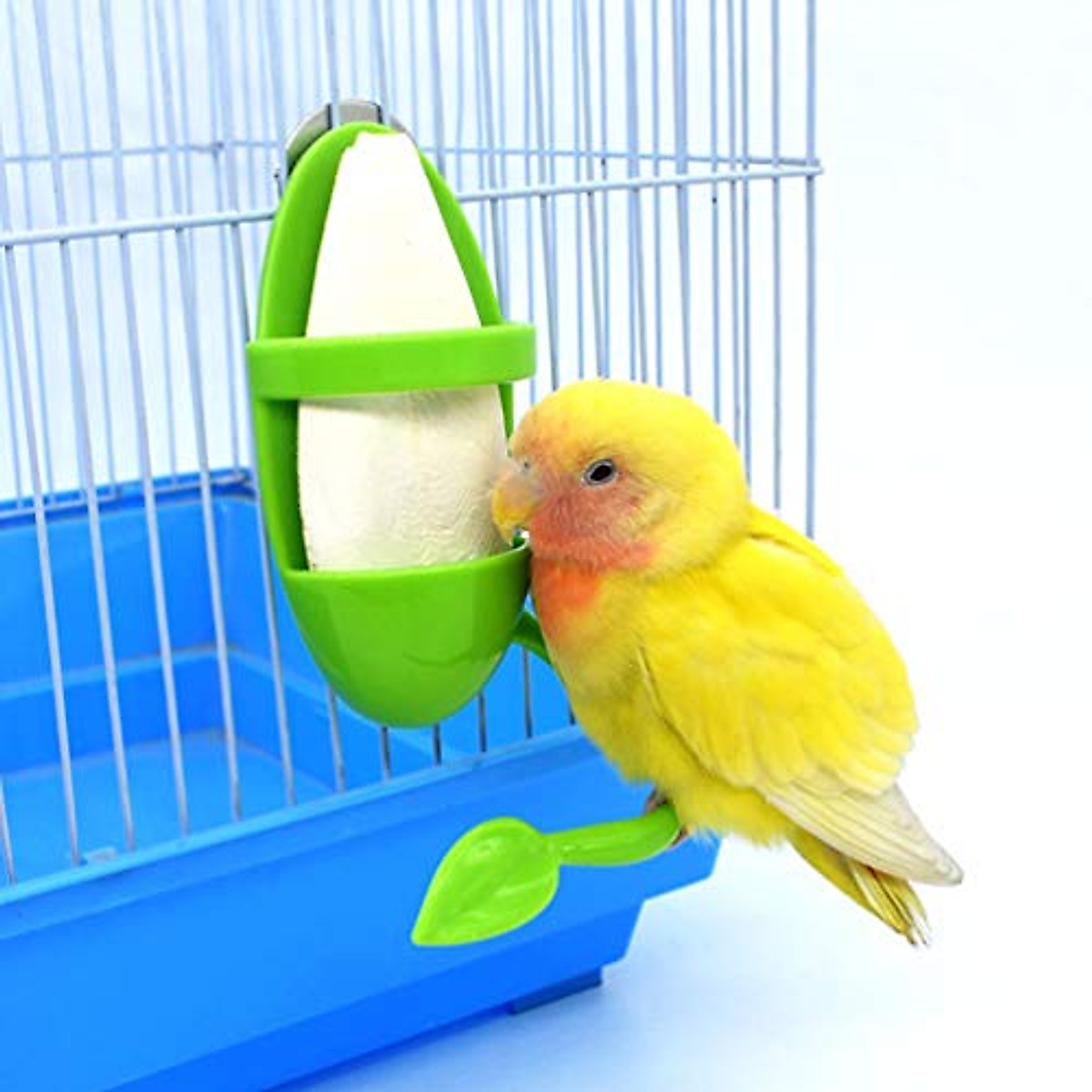 POPETPOP Bird Feeding Cup, Cuttlebone Holder Bird Cage Bowl Stand Food Holder for Budgies Parakeet Cockatiel Conure Lovebird 2Pcs