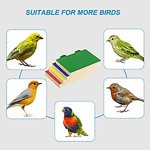 PATIKIL Bird Perch Stand Platform, 2 Pack Parrot Stand Platform Playground Paw Grinding Clean for Parakeet Cockatiel Cage Accessory, Blue