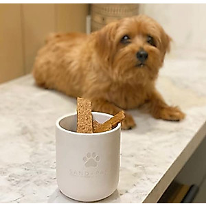 Sand + Paws Scented Candle - Sage & Sea Salt - Additional Scents and Sizes –Luxurious Air Freshening Jar Candles Neutralize pet Odors and Enhance Home décor – 100% Cotton Lead-Free Wicks - 12 oz