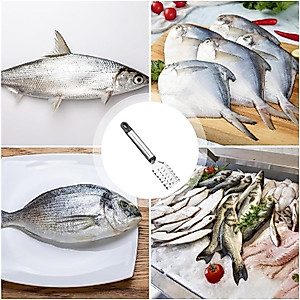 Silver Fish Scaler Brush, Remover Cleaner Fish Scaler, Fish Scaler Tool, Fish Skin Graters, Fish Tweezers Scale Tool, Steel Sawtooth Remove Scales, Fish Belly Knife for Fish Scaling Seafood Tools