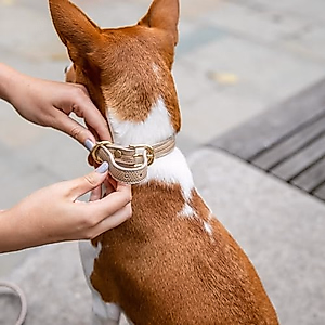 Nina Woof Milan Vegan Leather Dog Leash, 4ft Padded Slim Dog Lead, Vegan Crocodile Leather, Dog Leash for Small Dogs, Lightweight Dog Leashes for Medium Dogs, Thin Dog Leash, Beige