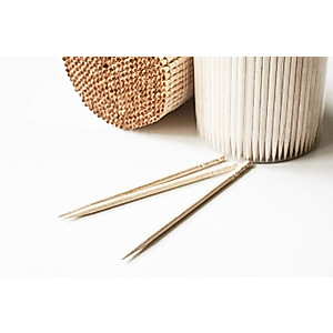 Makerstep 1000 Wooden Toothpicks Ornate Handle in Toothpicks Holder Container 2 Packs of 500, Good for Party, Cleaning Teeth, Appetizer.