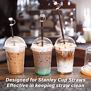 Straw Cover Cap for Stanley Cup, 10mm Silicone Straw Cover Compatible with Stanley 30&40 Oz Tumbler with Handle, 0.4in Straw Topper Stanley Cup Accessories (6)