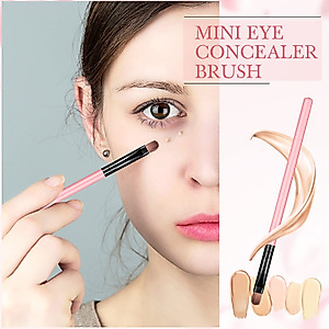 Patelai 48 Pcs Flat Makeup Brushes Flat Lip Concealer Brushes Small Portable Eyebrow Brush Concealer Makeup Brush Synthetic Lip Brush Beauty Makeup Tool for Concealing Blending Setting Buffing(Pink)