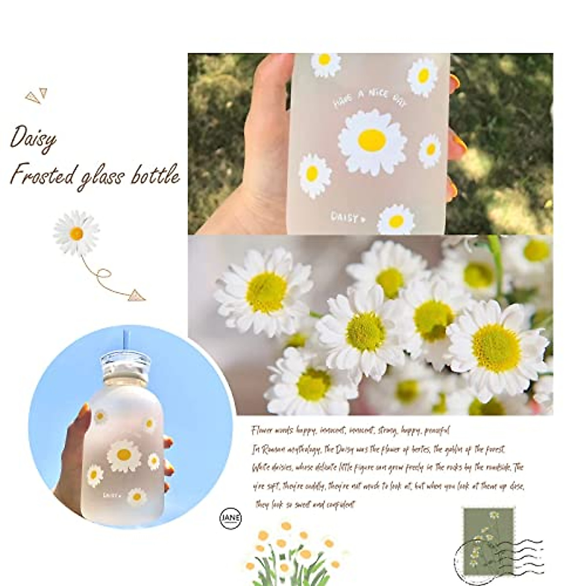 Cute Water Bottles Kawaii Aesthetic Water Bottles Milk Juice Daisy Glass Water Cup for Girls, Straw and 2 Lids, 16 oz (Four flower)