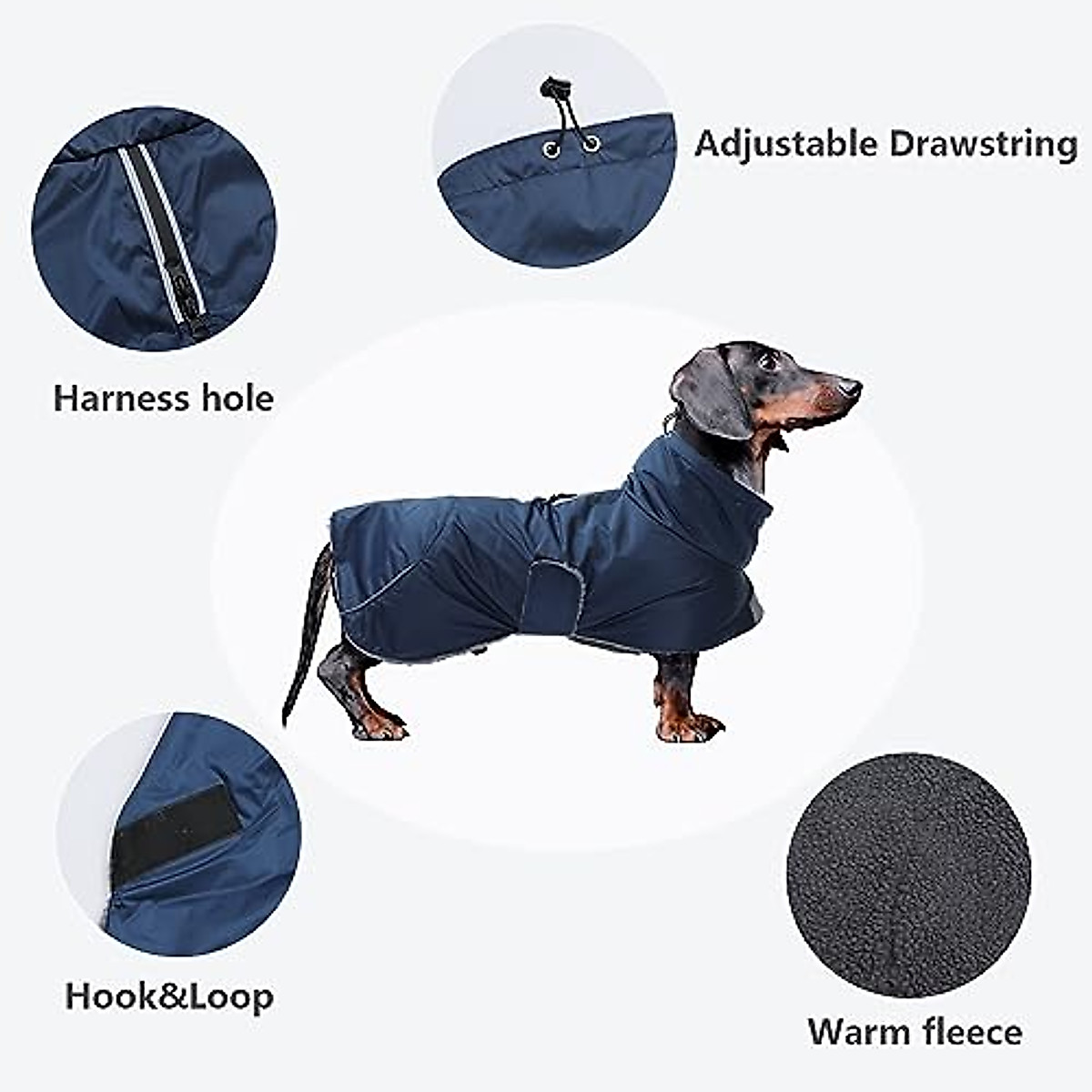 Dachshund Coats Waterproof, Perfect for Dachshunds, Sausage, Weiner Dog Winter Coat with Padded Fleece, Puppy Snowsuit with Adjustable Bands and High Vis Reflective Trim - Navy - XS