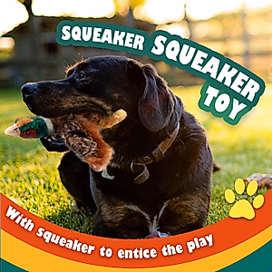 ALL FOR PAWS Classic Dog Pheasant Toys, Squeaky Dog Toys Stuffed Animal Dog Hunting Plush Toy, Large