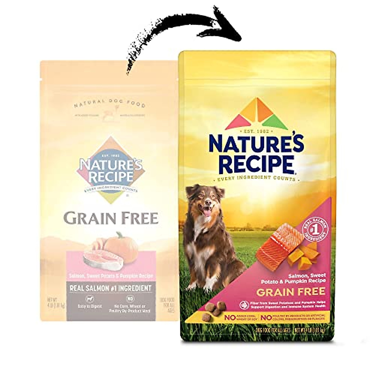 Nature's Recipe Grain Free Easy to Digest Salmon, Sweet Potato and Pumpkin Recipe Dry Dog Food, 4-Pound