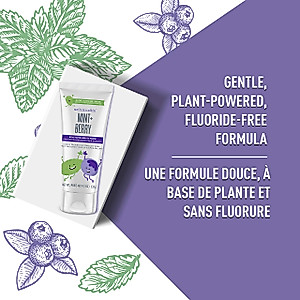 Schmidt's Children's Toothpaste For Clean Teeth, Mint + Berry, Fluoride Free 4.7 oz 6 Count