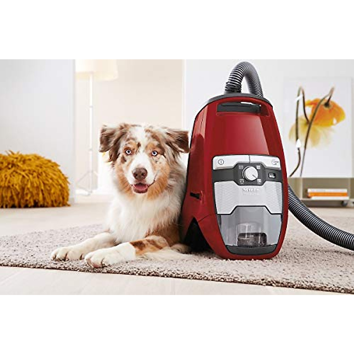 Miele Blizzard CX1 HomeCare Bagless Canister Vacuum, Autumn Red