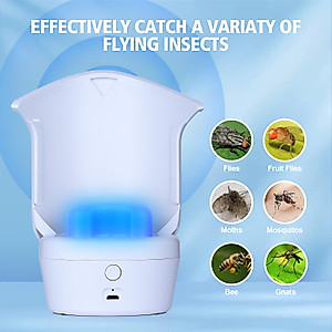 Flying Insect Trap with USB Rechargeable and Portable,Insect Catcher,Indoor Fly Trap with Night UV Light,Fruit Fly Traps for Gnat, Moth, Mosquito, Bug Light Insect Killer (1 Device＋10 Glue Cards)