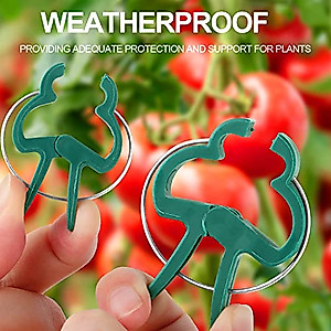 Yinghezu 40 Pcs Plant Support Clips,Flower and Vine,Garden Tomato Plant Support Clips for Supporting Stems,Vines Grow Upright Climbing,Tool for Straightening,Tomato Cage,Trellis. 2 Sizes in one Pack