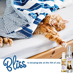 The Blissful Cat Relax Aromatherapy Roll On for Your Cat's Anxiety, 0.45-Ounce