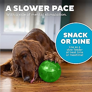Outward Hound Mazee Puzzle Ball Interactive Treat Dispensing Dog Toy, Green