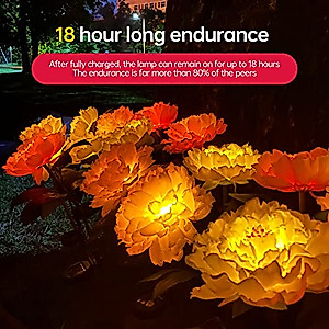 Cmskokm Outdoor Solar Garden Light Yard Decor Garden Decor Solar Flower Lamp Garden Decor Bigger Peony Flower Head Bigger Solar Panel Waterproof Solar Decorative Light for Garden Patio (3 per Box)