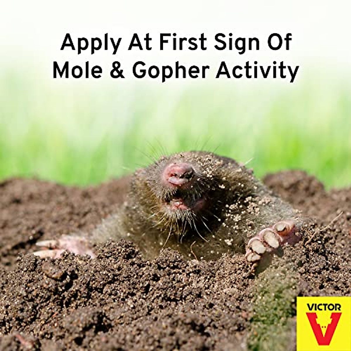 Victor M8002 Mole & Gopher Repellent Yard Spray – 1 Bottle, Yellow