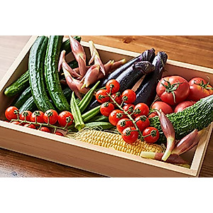 RANSHOU Garden Shears 7.2” Sharp Japanese Stainless Steel Blade, Precision Pointed Hand Garden Scissors for Trimming, Harvesting, Spring Loaded Lightweight Gardening Snips, Made in JAPAN