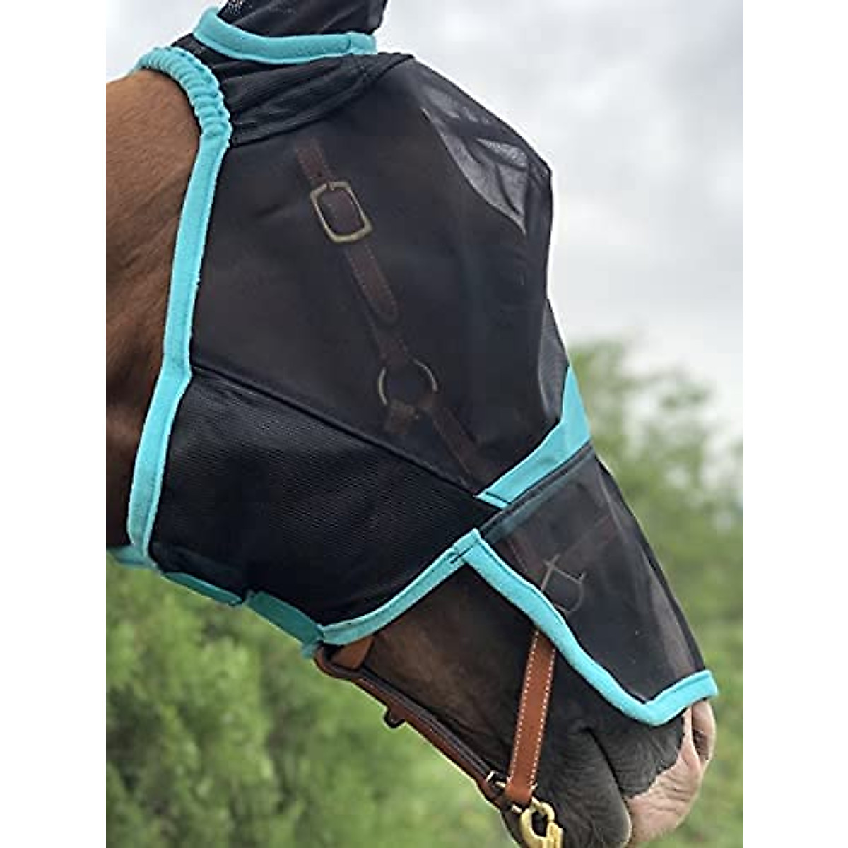TGW RIDING Horse Mask Full Face Mesh Mask Fine Mesh with Ears and Long Nose (Cob, Black/Turquoise)