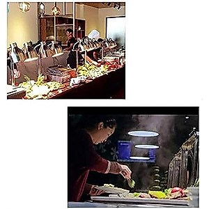 LINKANRUO Food Heating Lamp Double Bulbs Buffet Display Heating Preservation Light,Commercial Portable W250 Heat Lamp Lamps