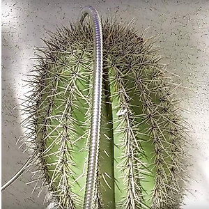 Beaulife Metal Short Garden Hose 1 Foot Connectors, Drainage Hose for Dehumidifier Small Water Hose Extension High Pressure Bib Reel Extender, Drinking Water Hose for RV Outdoor