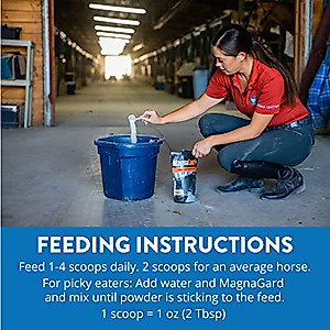 MagnaGard Gastric Support Supplement for Horses | Relieves Ulcers, Calming Supplement, Magnesium & Other Vital Minerals | Powder, 6 Pound Bag, 45-Day Supply | by Eagle Equine