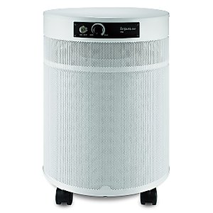 Airpura C700 DLX - Chemicals and Gas Abatement Plus Air Purifier (WHITE)