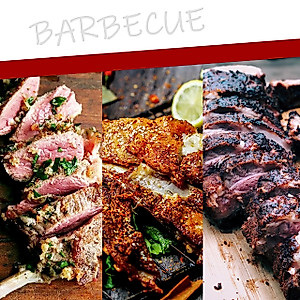 Charcoal BBQ Grill-KIICHI TERASAWA Portable Barbecue Carbon Grill-Stainless Steel Foldable Smoker BBQ Grill for Outdoor Cooking and Camping Backyard Patio Beach