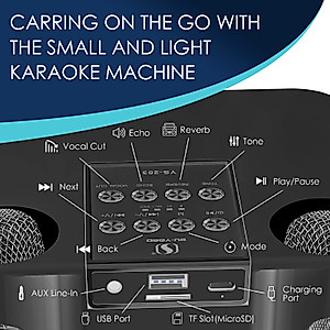 Flyasny Karaoke Machine for Adults and Kids, Portable Bluetooth Karaoke Speaker with 2 Wireless Microphones for TV, Singing Karaoke for Home Party, Great Gifts for Boys and Girls