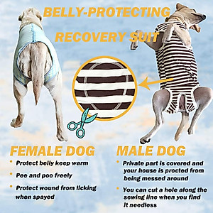 Recovery Suit Post Surgery for Large Medium Dog, Spay Recovery Suit for Male and Female Dogs, Post Surgery Dog Onesie, Substitute E-Collar & Cone (Gray-XL)