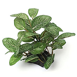 Otimark 2 Piece Realistic Faux Silk Aquarium Ficus Tree Cool Small Betta Fish Tank Grass Fake Artificial Plants Plastic Decorations Ornament