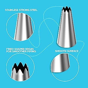 Riccle Reusable Piping Bag and Tips Set - Strong Silicone Icing Bag and Tips - Ideal Icing Piping Kit of 2 Reusable Pastry Bag,2 Coupler, 10 Icing and Frosting Tips with 2 Bag Ties